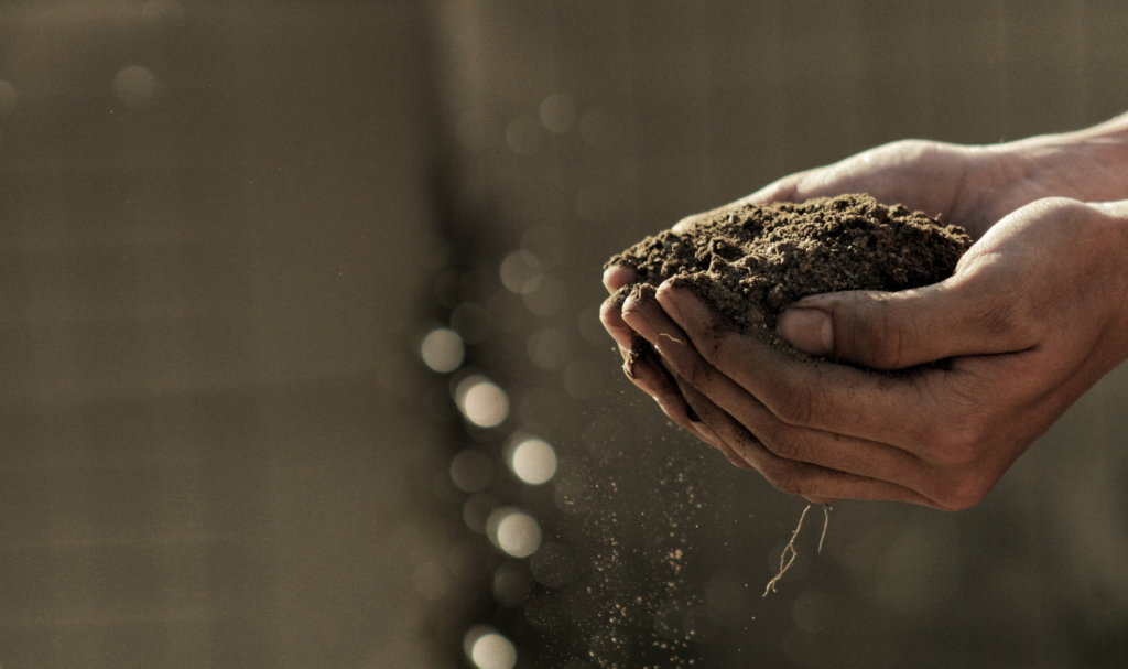 Case Studies | SEADS